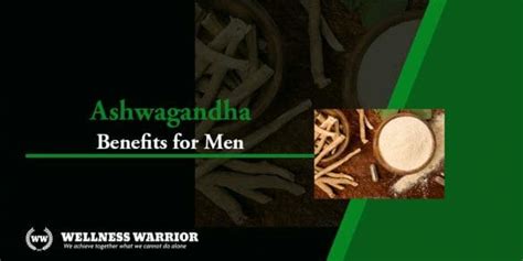 Ashwagandha Benefits For Men 19 Things The Herb Is Good For
