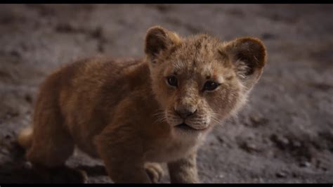 Lion King Simba Images 2019 Tilatin