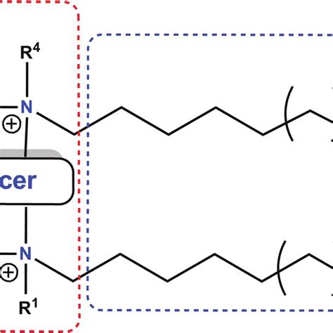 Structure Of Gemini Surfactant With Spacer At Head Groups Download Scientific Diagram