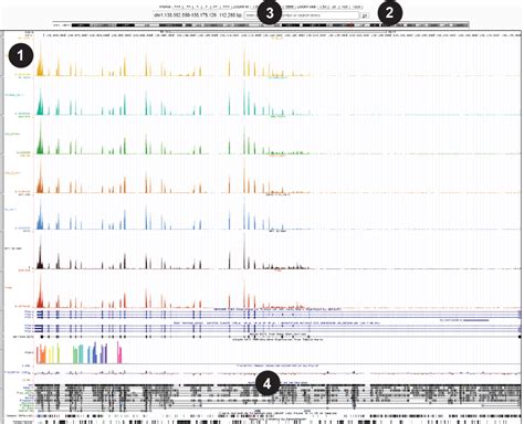 Deep RNAseq Help Page