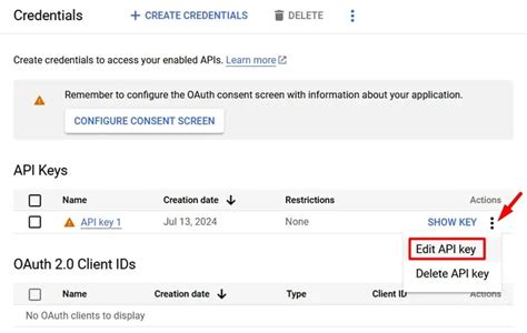 How To Solve Google Maps API Error ApiNotActivatedMapError