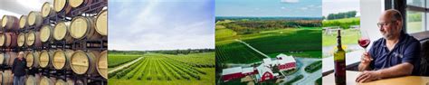 Vignoble Gagliano Vindici