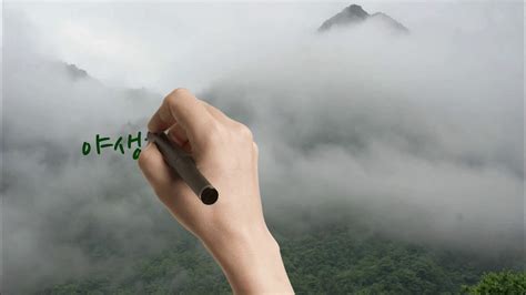 차료건강문화 티큐레이터 과정 중 차나무에 대하여 차료건강문화티큐레이터 Youtube