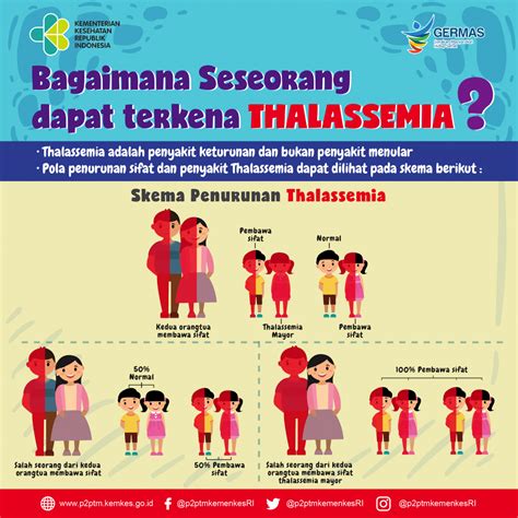 Apa Yang Harus Kita Pahami Tentang Thalasemia Rumah Sakit Akademik Ugm