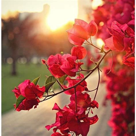 Эрхэмбилэг хүүд туслах хандивын аян Ulaanbaatar