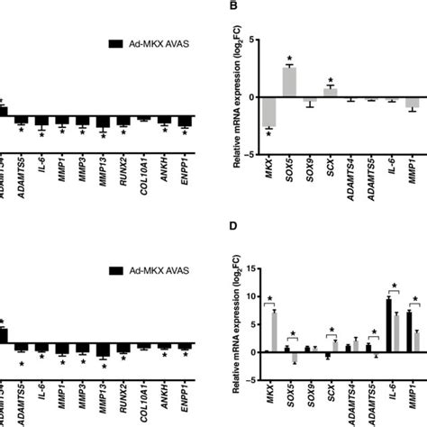 Ad Mkx For Overexpression And Sirna Mediated Knockdown Of Mkx In