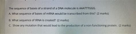 Solved The Sequence Of Bases Of A Strand Of A DNA Molecule Chegg