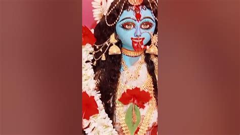 মায়ের দর্শনে সকলের মনের ইচ্ছা পূরণ হয়🙏 ️🌺 Youtube