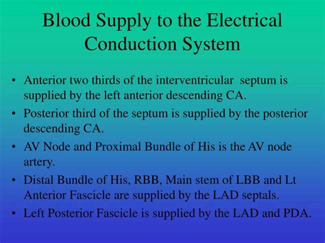 PPT Bundle Branch And Fascicular Block Understanding Conduction System Disorders PowerPoint