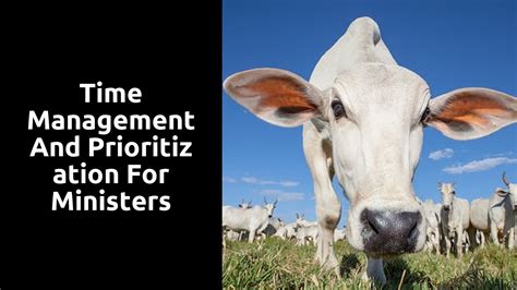 Time Management And Prioritization For Ministers