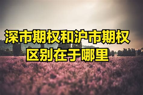 深市期权和沪市期权区别在于哪里？纯知识科普！ 知乎