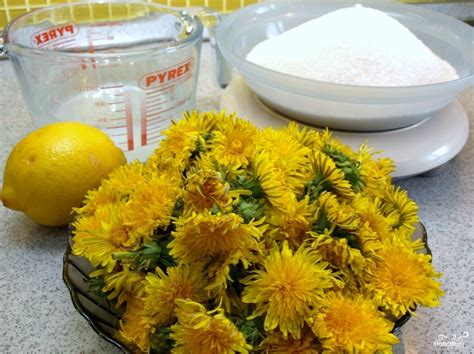 Сироп из одуванчиков - пошаговый рецепт с фото на Повар.ру