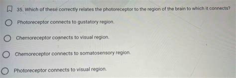 Solved Which Of These Correctly Relates The Photoreceptor To The