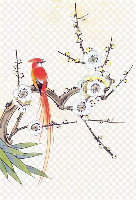 Png Png