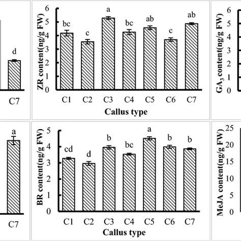 The Morphological Features Of Different Types Of Embryogenic Cultures