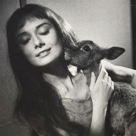 ‎aleish ˚｡⋆୨୧˚s Profile • Letterboxd