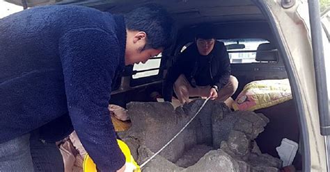 차 트렁크에 제주 자연석이무단 반출 사례 잇따라