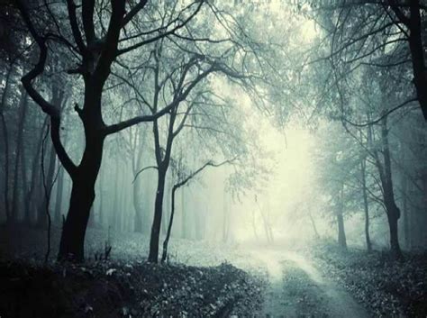 13 Haunted Places In Mumbai To Scare The Wits Out Of You Triphobo
