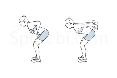 Dumbbell Triceps Kickback Geïllustreerde Trainingsgids Dancing Rainbow