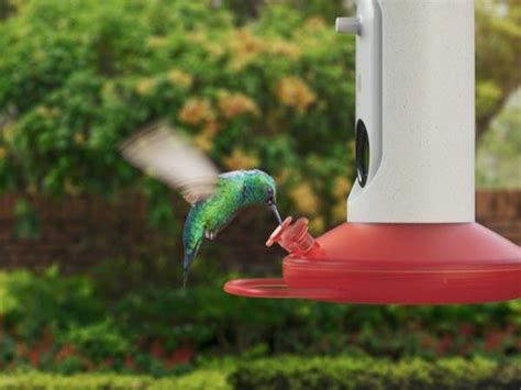 Altair Rapidminer On Linkedin Machine Learning Bird Recognition Firm