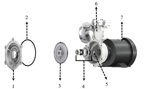The Two Phase Vortex Pump A Schematic Of The Pump Function B The Download Scientific
