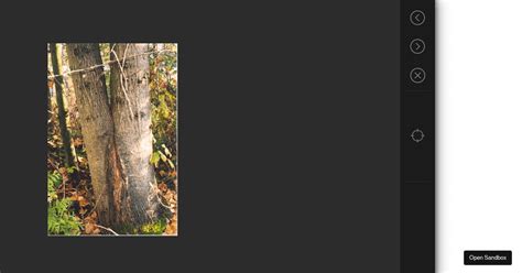 React Simple Image Editor Examples Codesandbox