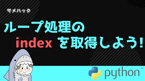【python】int型とbytes型を変換しよう！ サメハック
