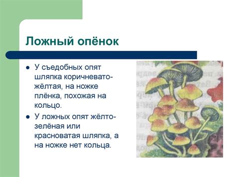 Ядовитые растения Самое лучшее средство защиты от ядовитых растений