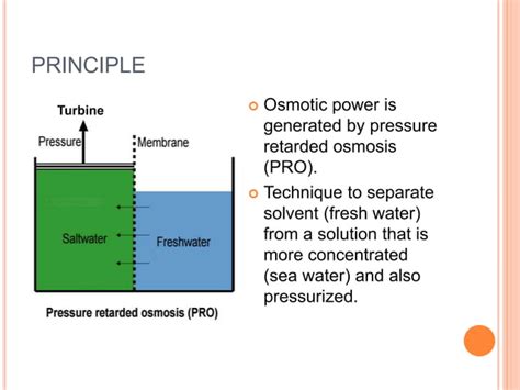 Osmotic Power Ppt