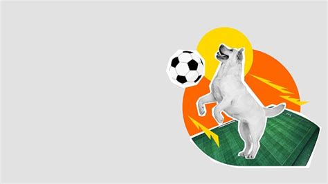 배경에 추상적 인 요소가 있는 축구장을 배경으로 축구공을 가지고 노는 활동적인 순종 개입니다 현대 미술 콜라주 0명에 대한 스톡 사진 및 기타 이미지 Istock