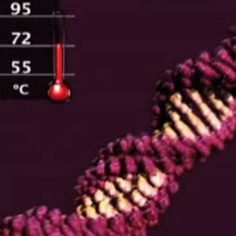 Dna Sequence Assembly