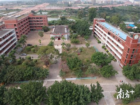 名师学霸谈经验仲恺中考成绩创新高，600分以上学生有335人南方plus南方
