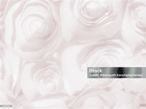 흰색 배경과 파란색 그래픽 흰색 꽃 프레임과 어두운 잎 질감 어두운 배경 화려한 그래픽 배너 흰색 잎 검은 잎에 아름다운 추상 적 색 검은 꽃 0명에 대한 스톡 사진 및