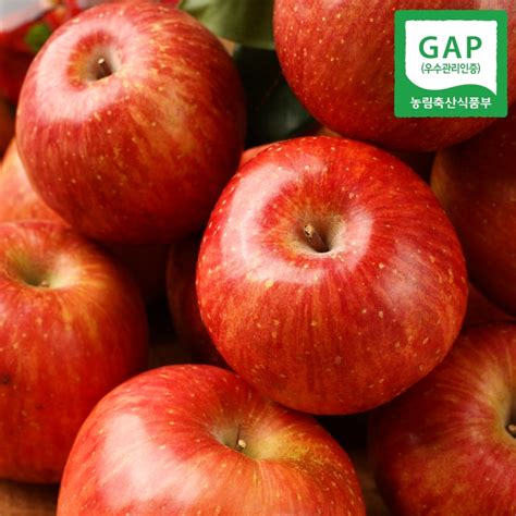 [gap인증] 프리미엄 엔비사과 3kg