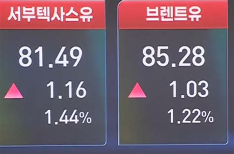 0619 미국주식 소매판매 부진 금리 인하 기대감 부각 엔비디아 강세