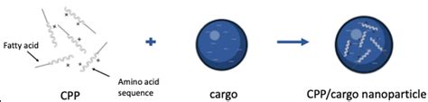 Spontaneous Non Covalent Formulation Of Nanoparticles Based On