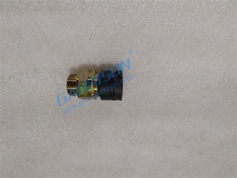 Sinotrukhowo Heavy Duty Machinery Spare Part Pressure Switch
