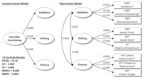 Depicting Cfa Of Both Three Factor And Higher Order Ef Model