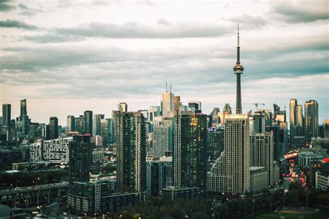 How High Level Movers Stand Out Among Torontos Moving Companies