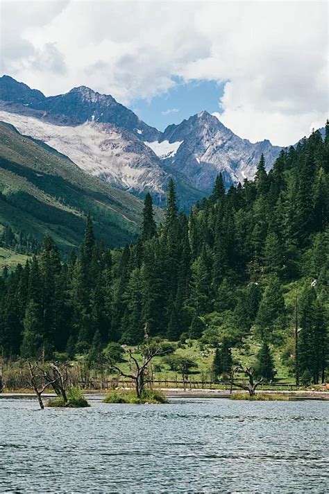 阿坝四姑娘山雪山湖泊草原峡谷森林自然风景图片下载 花瓣网