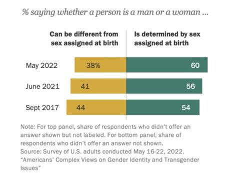 Perception Bias Creating Conflict By El Gato Malo