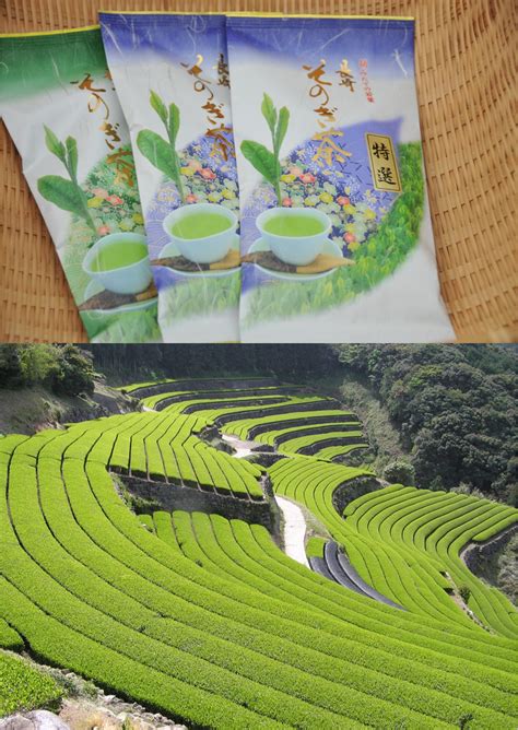 Furusato