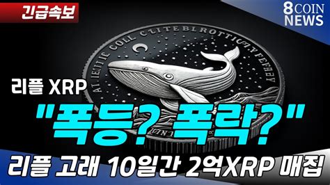 리플 긴급속보 폭등 폭락 리플고래 10일간 2억 Xrp 매집 Youtube