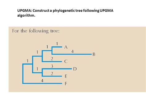 Introduction To Phylogenetics Ppt Video Online Download