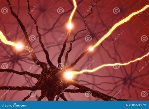 Nerve Cell Pulse Stock Photo Image Of Nerve Neurone 21356778