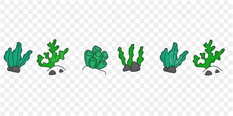 녹색 미역 일러스트 분할 선 만화 해초 구분선 해초 짙푸른 해초를 녹색 분할 선 Png 일러스트 및 Psd 이미지 무료 다운로드 Pngtree