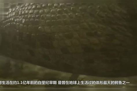 曾以恐龙为食？世界上体型最大的蜈蚣！6种比恐龙都要可怕的动物
