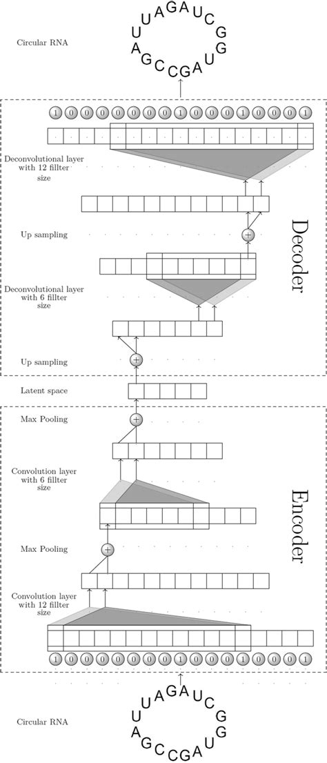 graphical representation of the employed autoencoder download