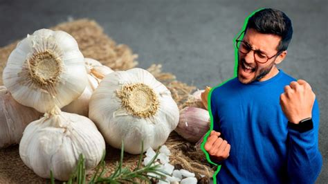 Conoce Los 5 Beneficios De Comer Ajo Diariamente Según Expertos Mvs