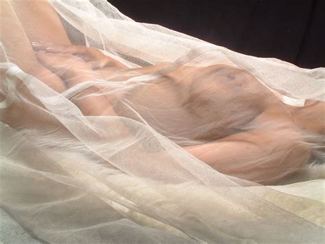 Netted Nude Artistic Nude Photo By Photographer Inder Gopal At Model Society